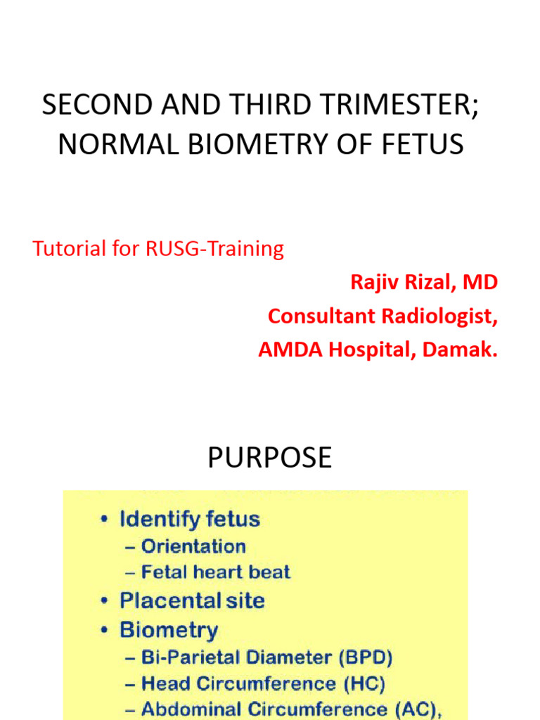 2nd and 3rd Trimester - NORMAL BIOMETRY | PDF