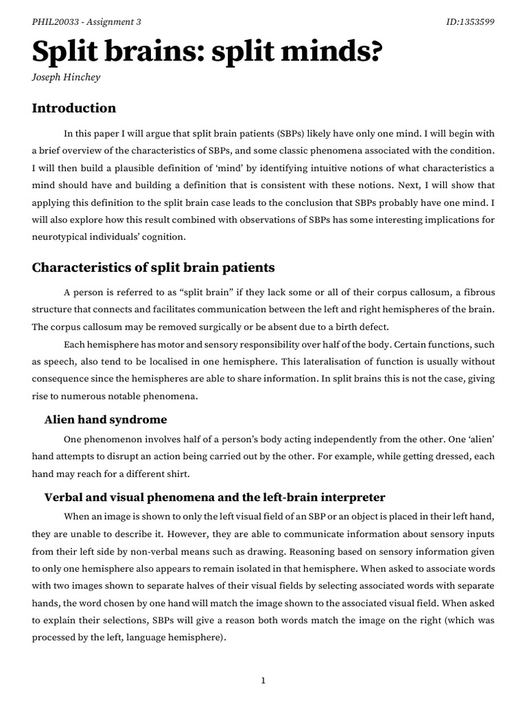 Split Brains - Split Minds? | PDF | Lateralization Of Brain Function | Mind