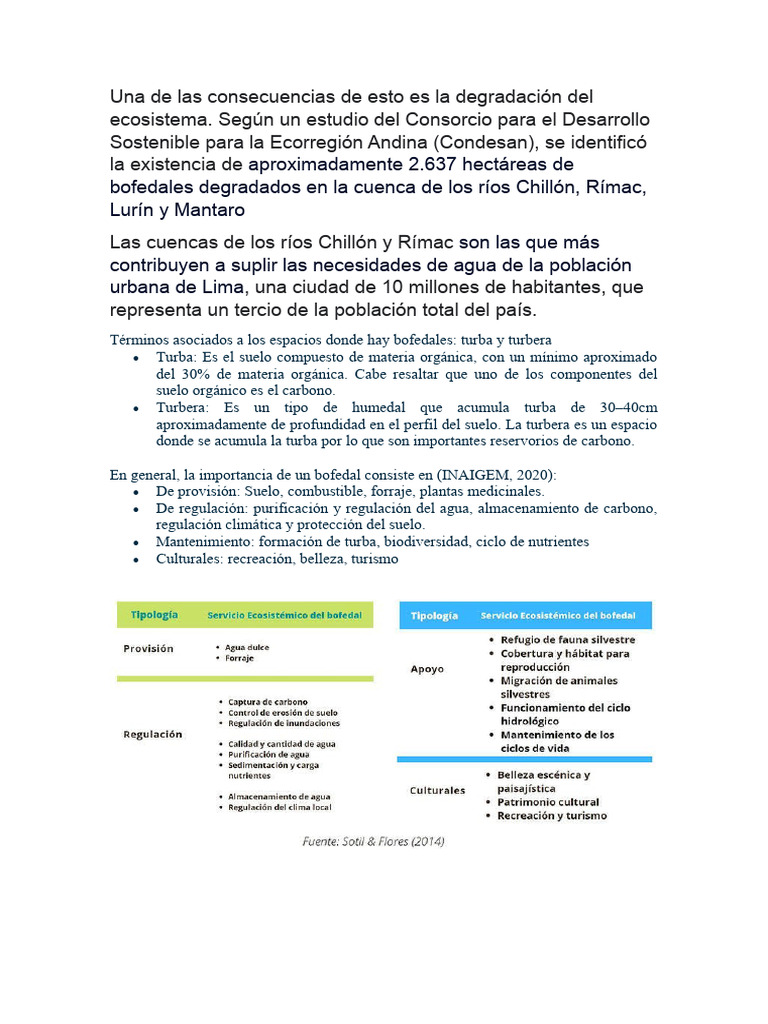 iNFO DE DPSC | Descargar gratis PDF | Turba | Suelo