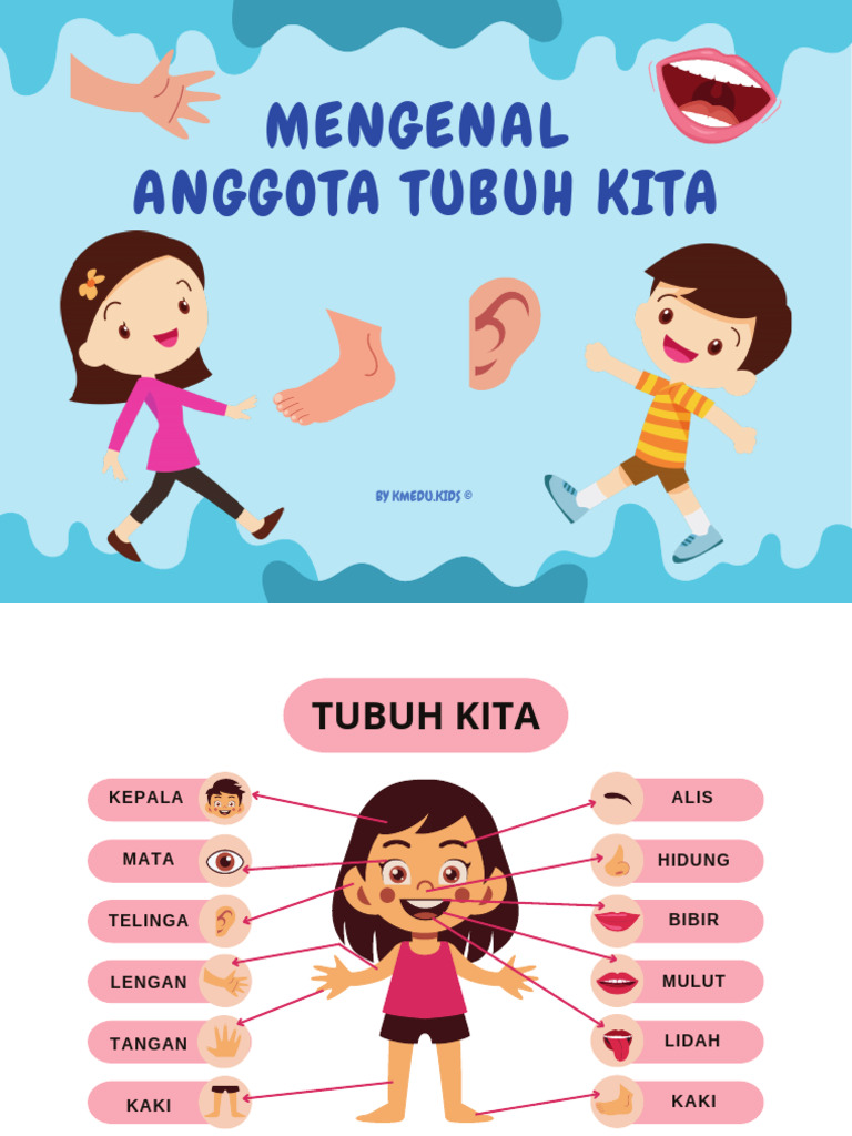 Mengenal Anggota Tubuh | PDF