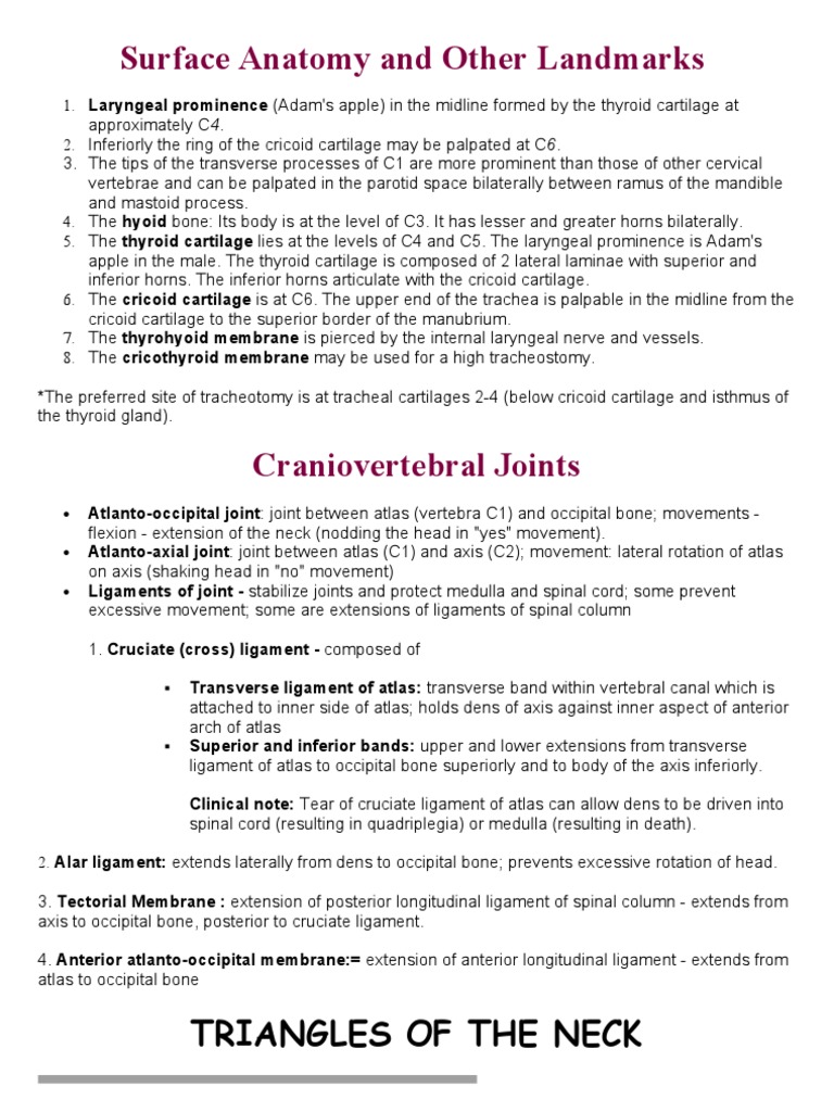 Surface Anatomy and Other Landmarks | PDF | Common Carotid Artery | Neck