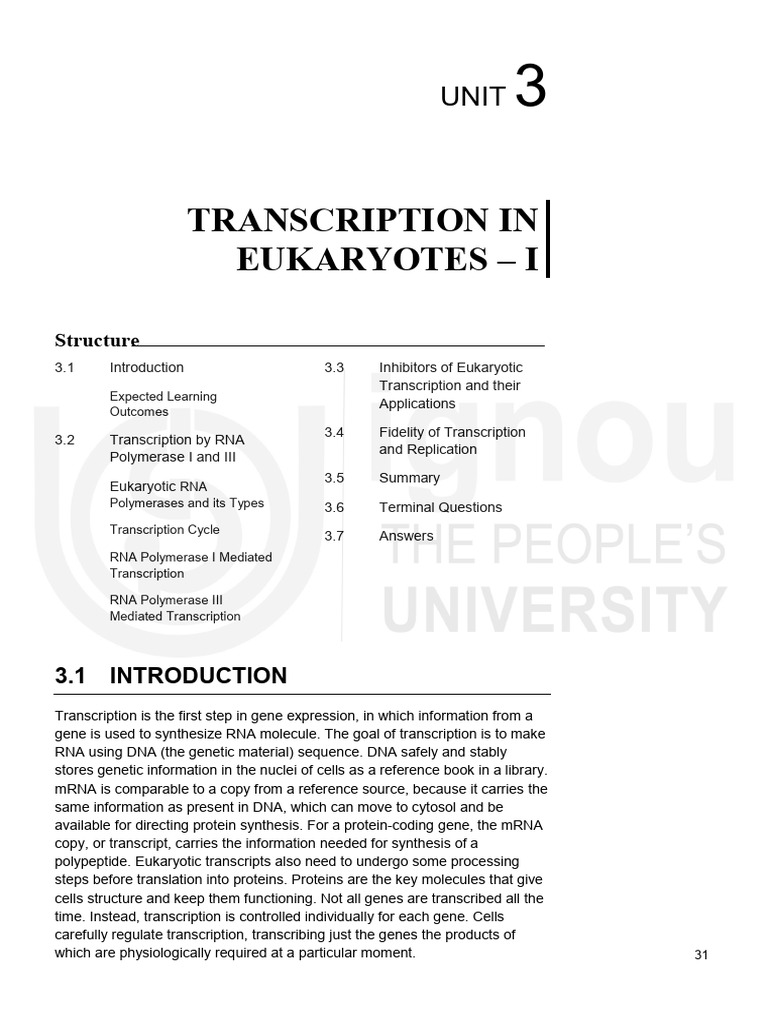 Unit-3 Transcription in Eukaryotes-I | PDF | Rna | Ribosomal Rna