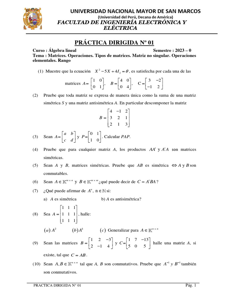 Practica Dirigida 01 | PDF | Matriz (Matemáticas) | Análisis matemático