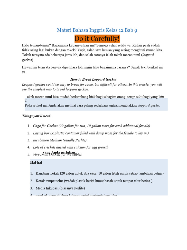 Bab 9 - Do It Carefully! | PDF