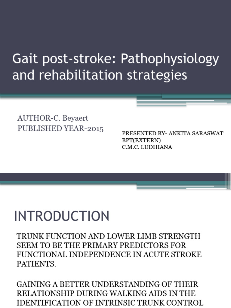 Post-Stroke Gait Biomechanical Changes | PDF | Anatomical Terms Of Motion