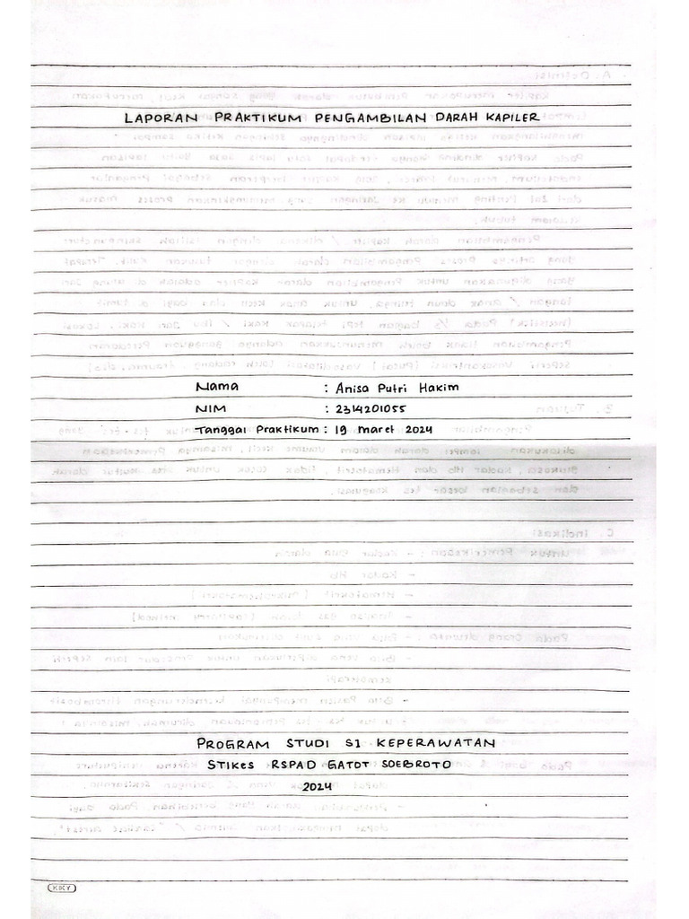 Anisa Putri Hakim (Laporan Praktikum | PDF
