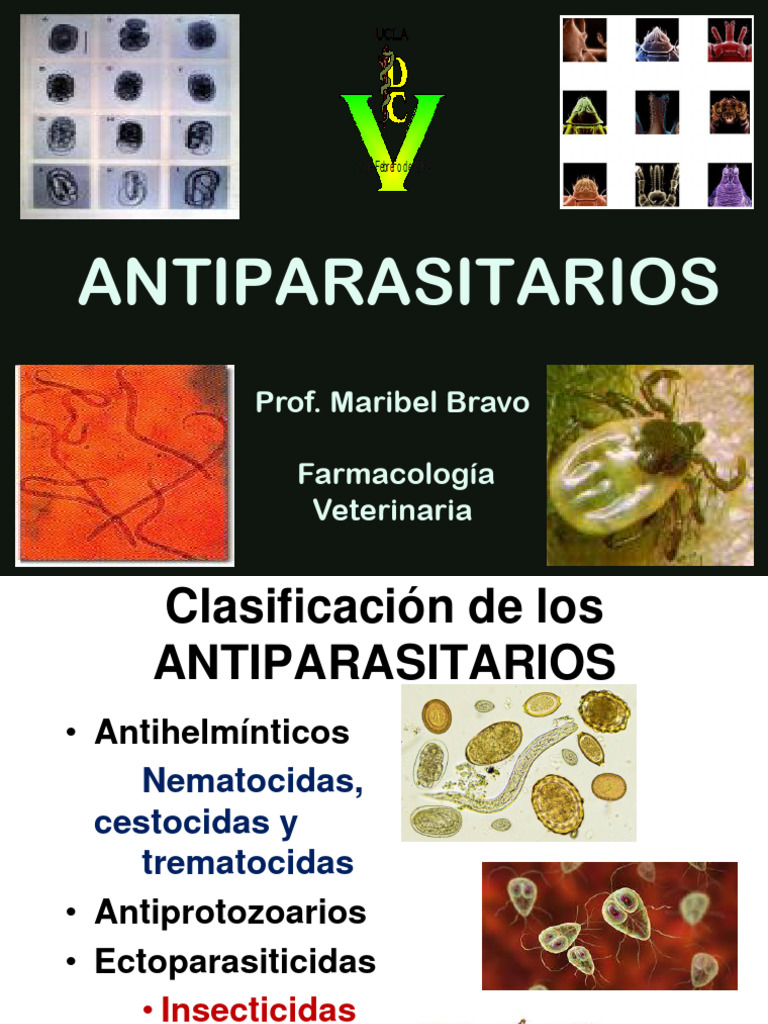 Clase Antiparasitarios 2024 Maribel Bravo | PDF | Sinapsis
