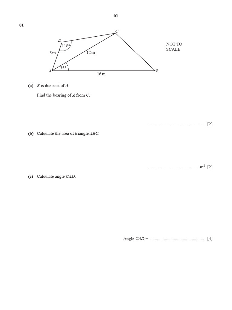 P2 Questions | PDF | Area | Rectangle