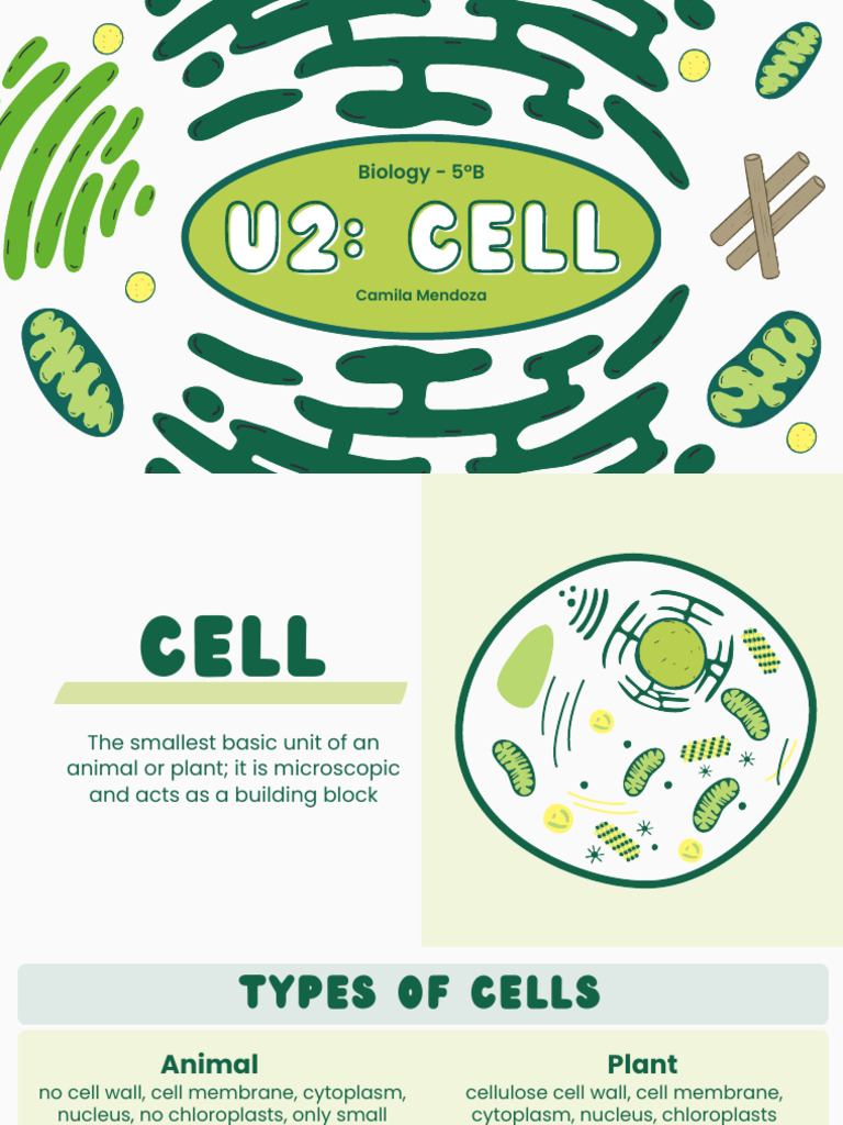 Biology - Unit 2 Cell | PDF | Cell (Biology) | Cytoplasm