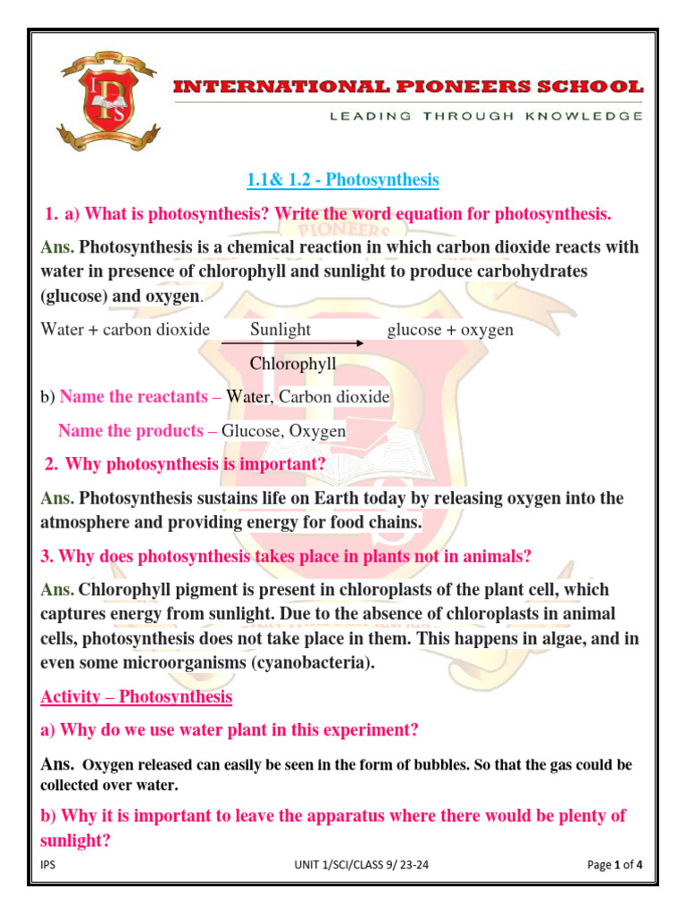 Photosynthesis and Carbon Cycle Explained | PDF | Photosynthesis ...