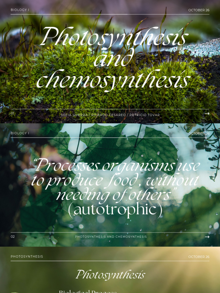 Chemosynthesis and Photosynthesis | PDF | Photosynthesis | Biochemistry