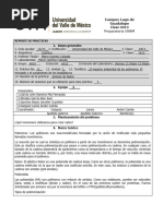 Síntesis de Nylon 6,6 en Laboratorio | PDF | Nylon | Polímeros