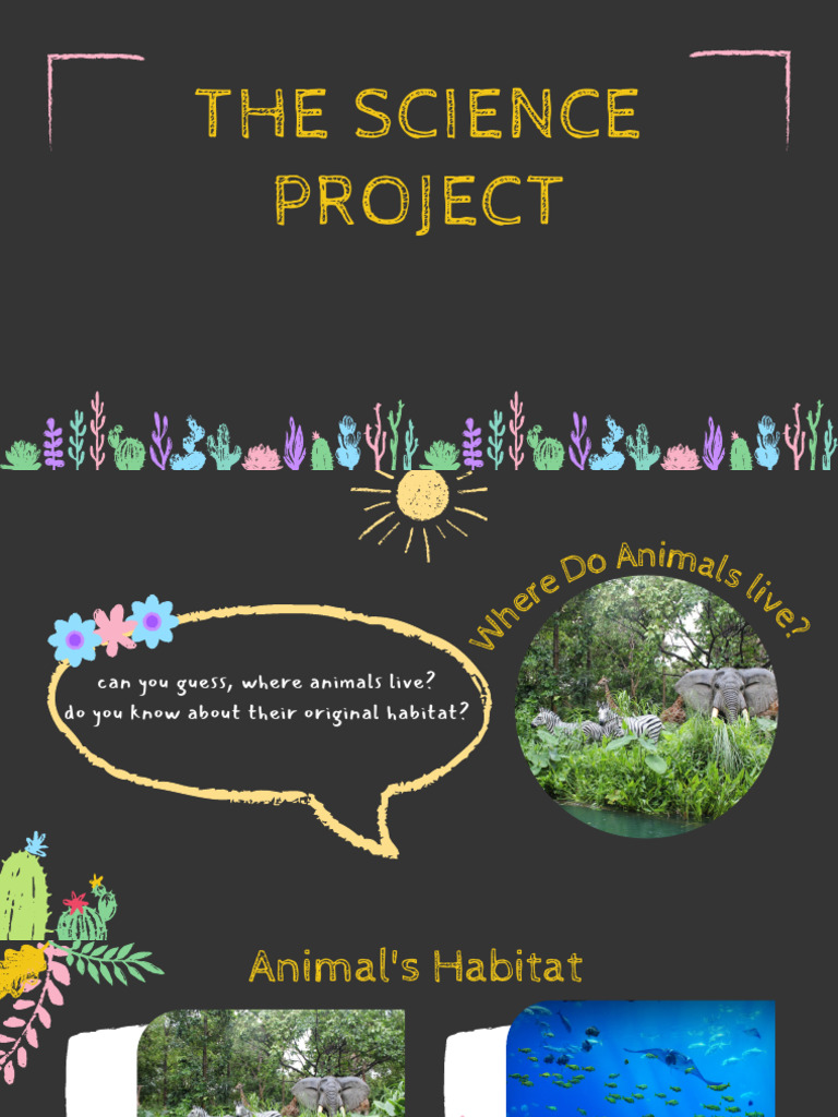 Animal Habitat Diorama Project Guide | PDF | Home & Garden | Wellness