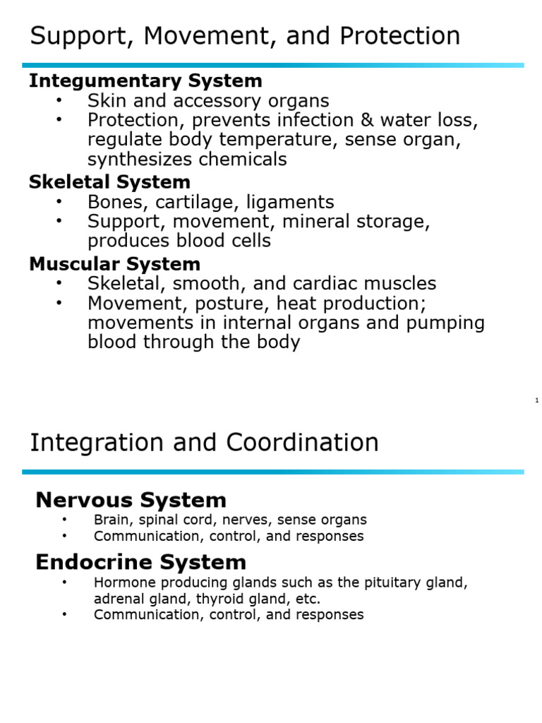 Overview of Human Body Systems | PDF | Self-Improvement