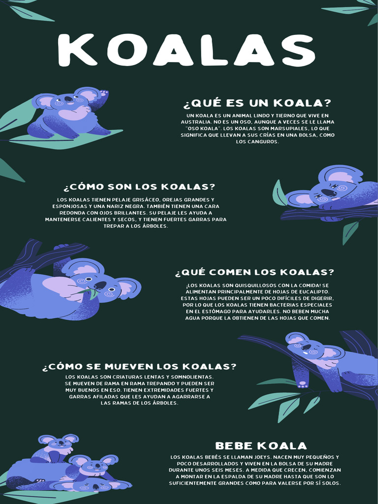 Koalas Infografía Educativa Verde Azul Creativo | PDF | Hogar ...