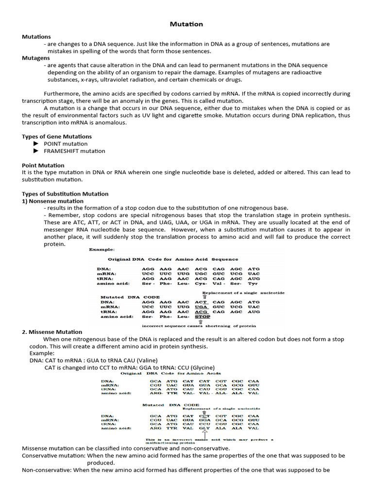 Mutation (TUESDAY) Jayian | PDF | Point Mutation | Mutation