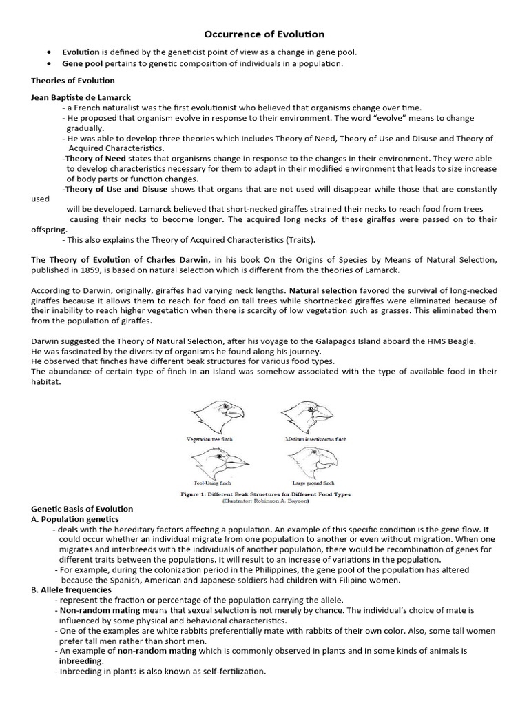 Occurence of Evolution (WEDNESDAY) Jayian | PDF | Evolution | Natural ...