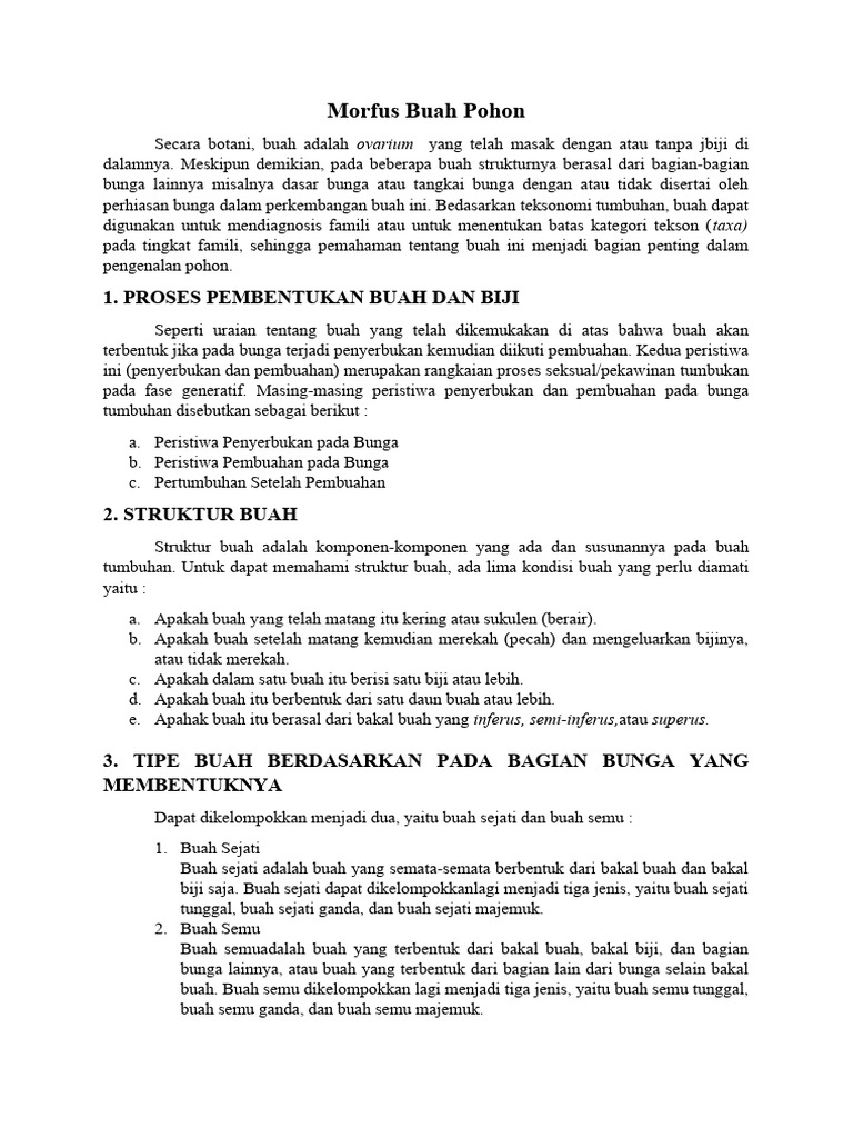 Morfus Buah Pohon | PDF | Griya & Taman | Sains & Matematika