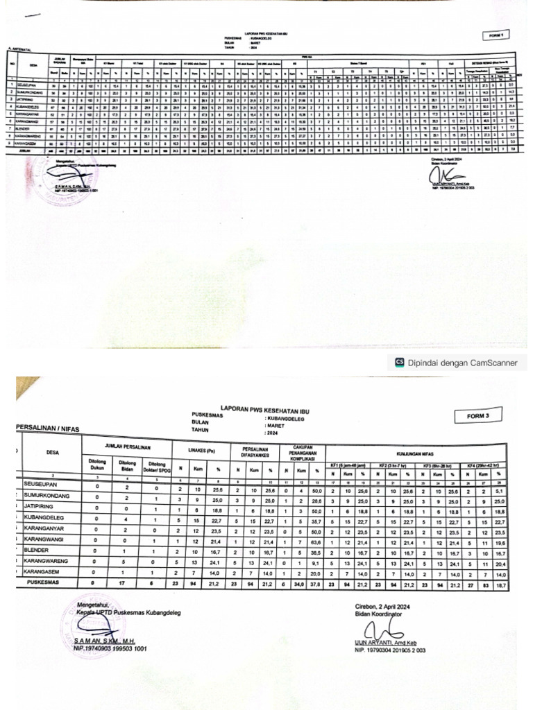 Lap Bumil, Bulin, Bufas BLN Maret 24 | PDF