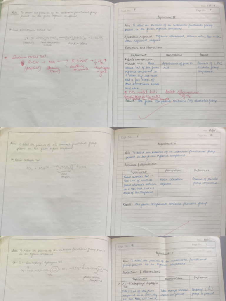 Functional Group Experiment | PDF