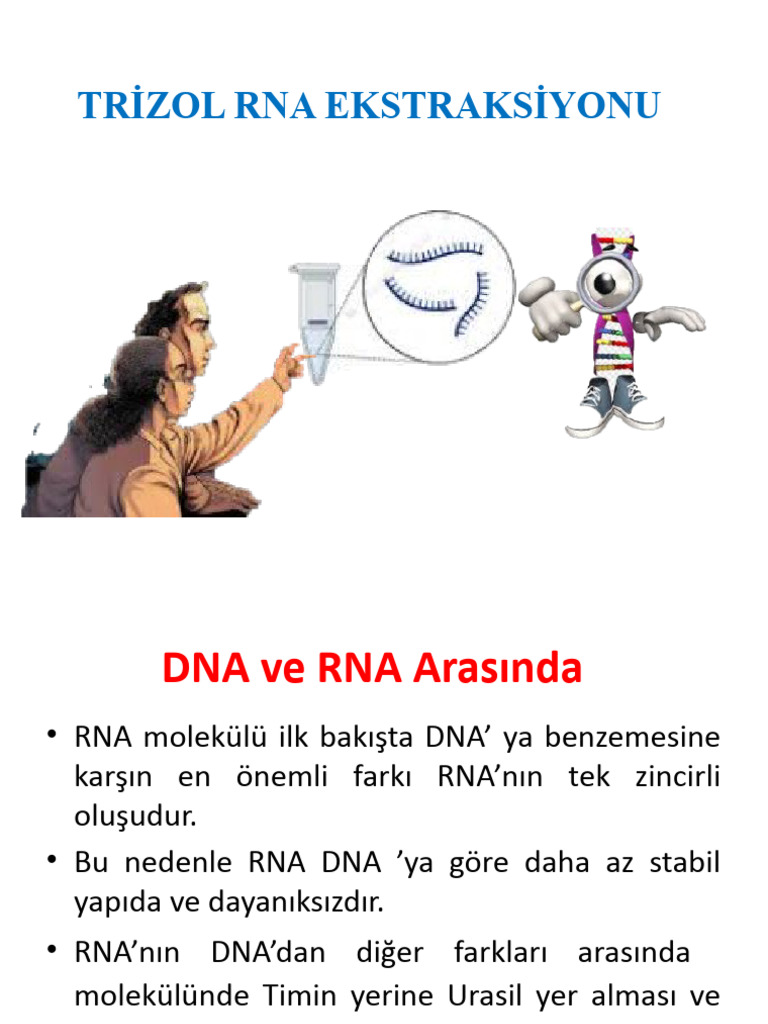 Trizol RNA | PDF