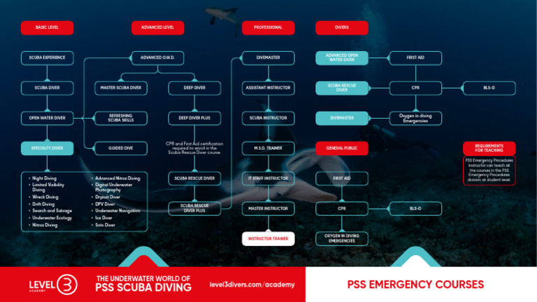 Level3 Flowchart Recreational and Emergency LINKS-4 | PDF | Scuba ...