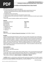 Lab Report - Bacterial Isolation - Updated | PDF | Bacteria | Microorganism