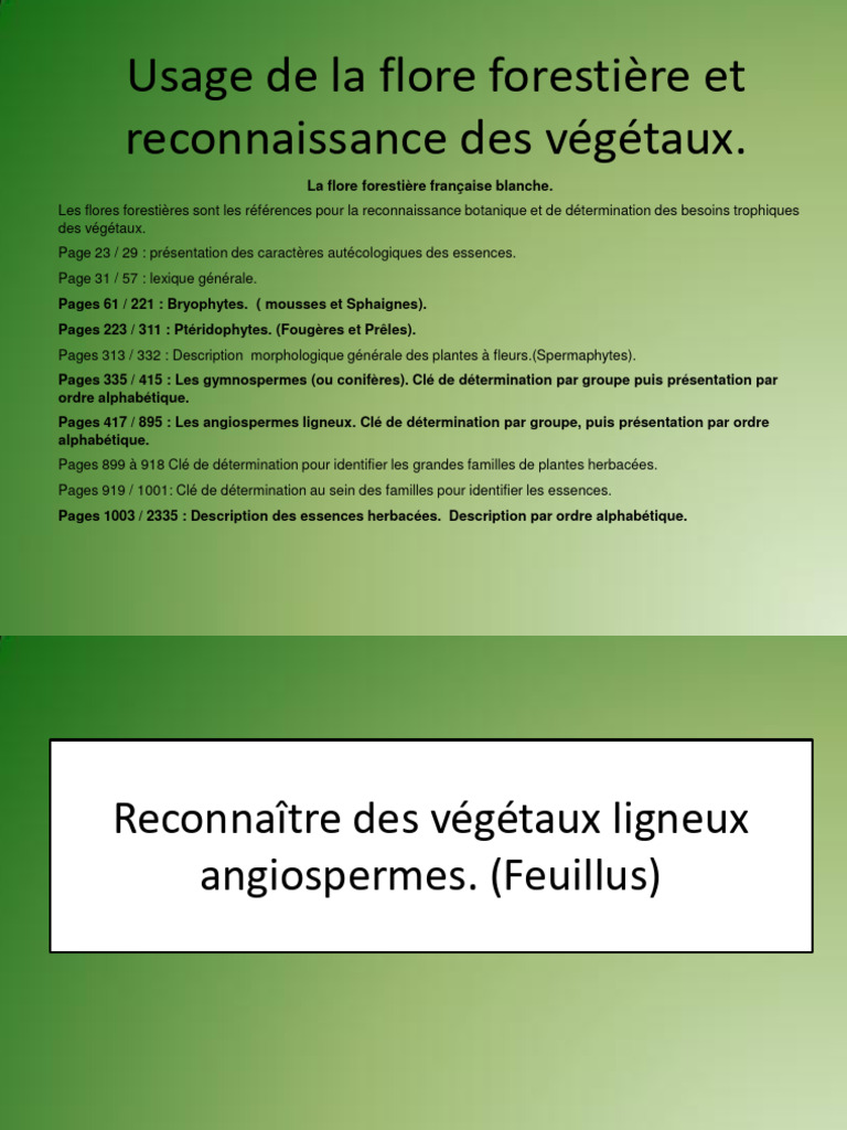 Reconnaissance de la flore forestière | PDF | Feuille | Plantes