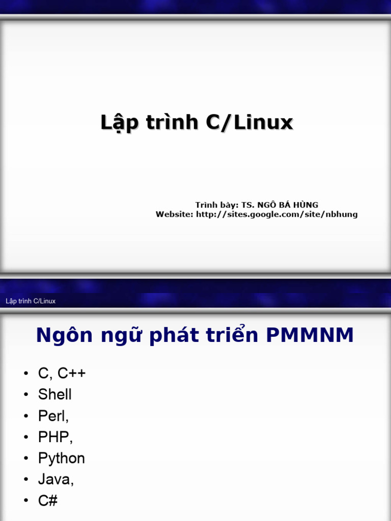 C Programming 1 | PDF