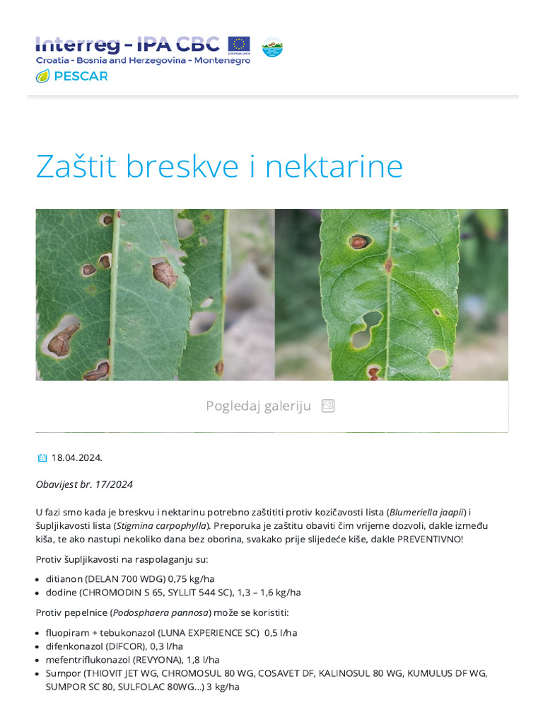 Zaštit Breskve I Nektarine | PDF
