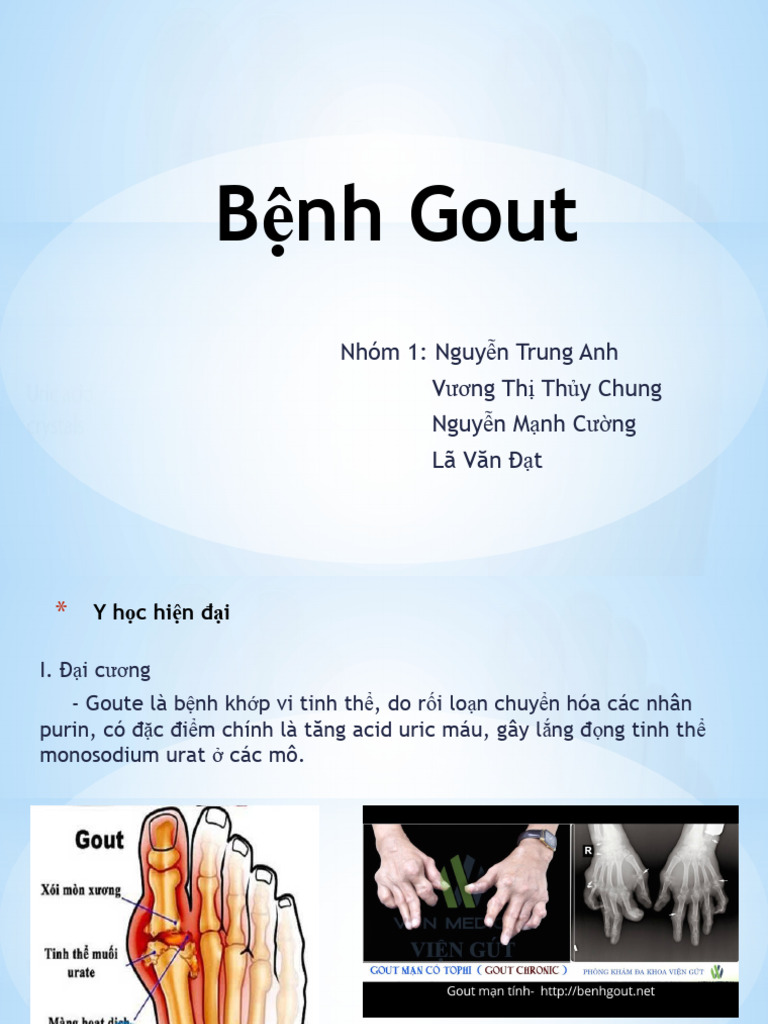 BNH Gout | PDF