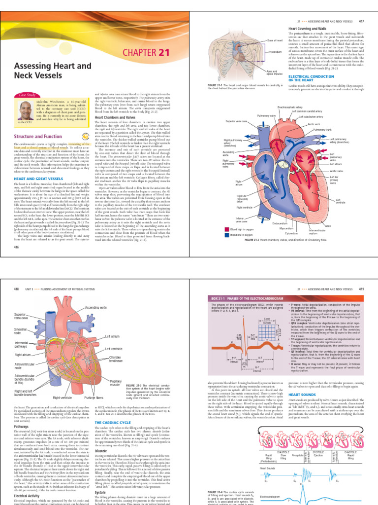 Heart and Neck Vessels | Download Free PDF | Heart Valve | Heart