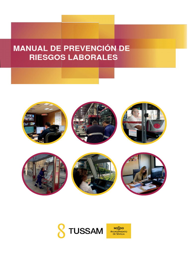 Manual PVRL Objeto de Examen | PDF | Combustión | Reanimación ...