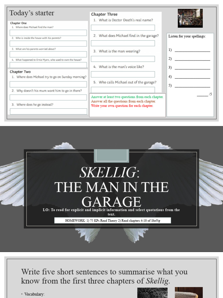 G7 Skellig Lesson 01 | PDF