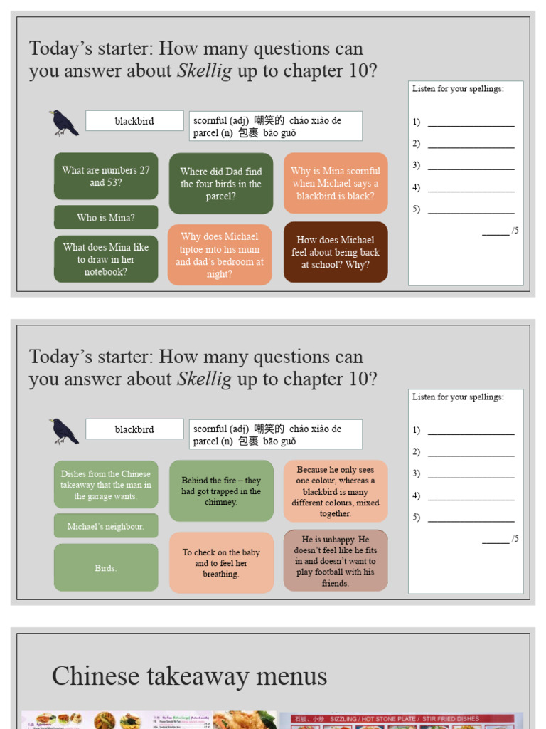 G7 Skellig Lesson 02 | PDF