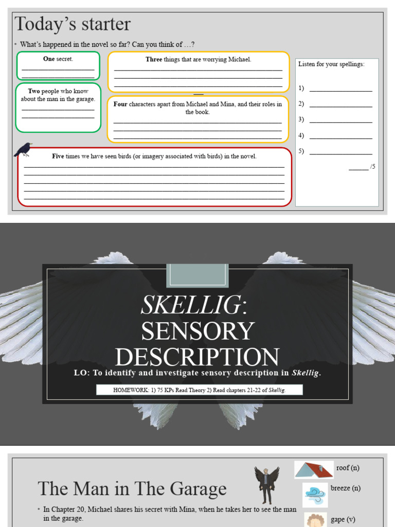 G7 Skellig Lesson 04 | PDF | Senses