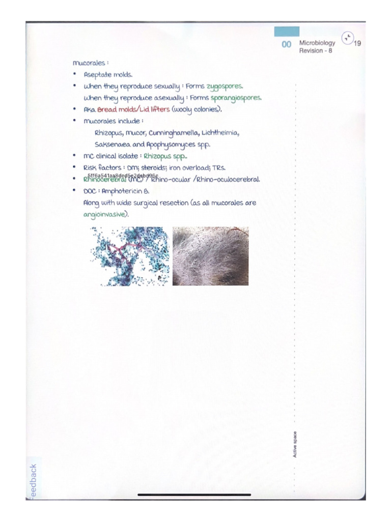 Scanned Documents 5 | PDF