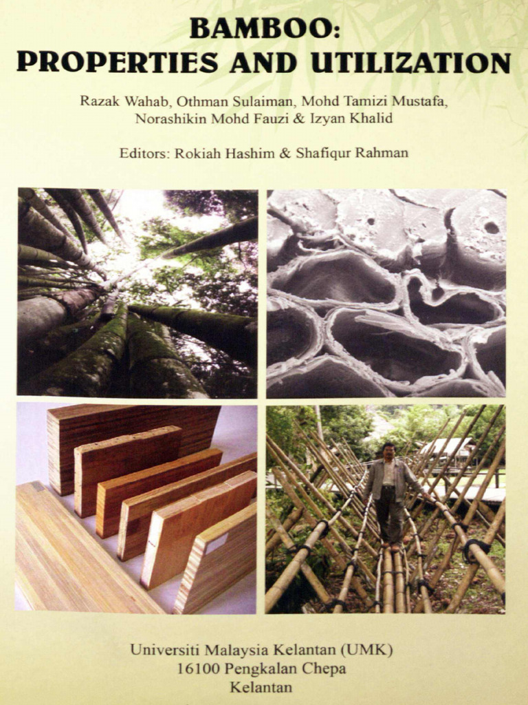 Bamboo Properties and Utilization-1 | PDF | Ecology | Nature