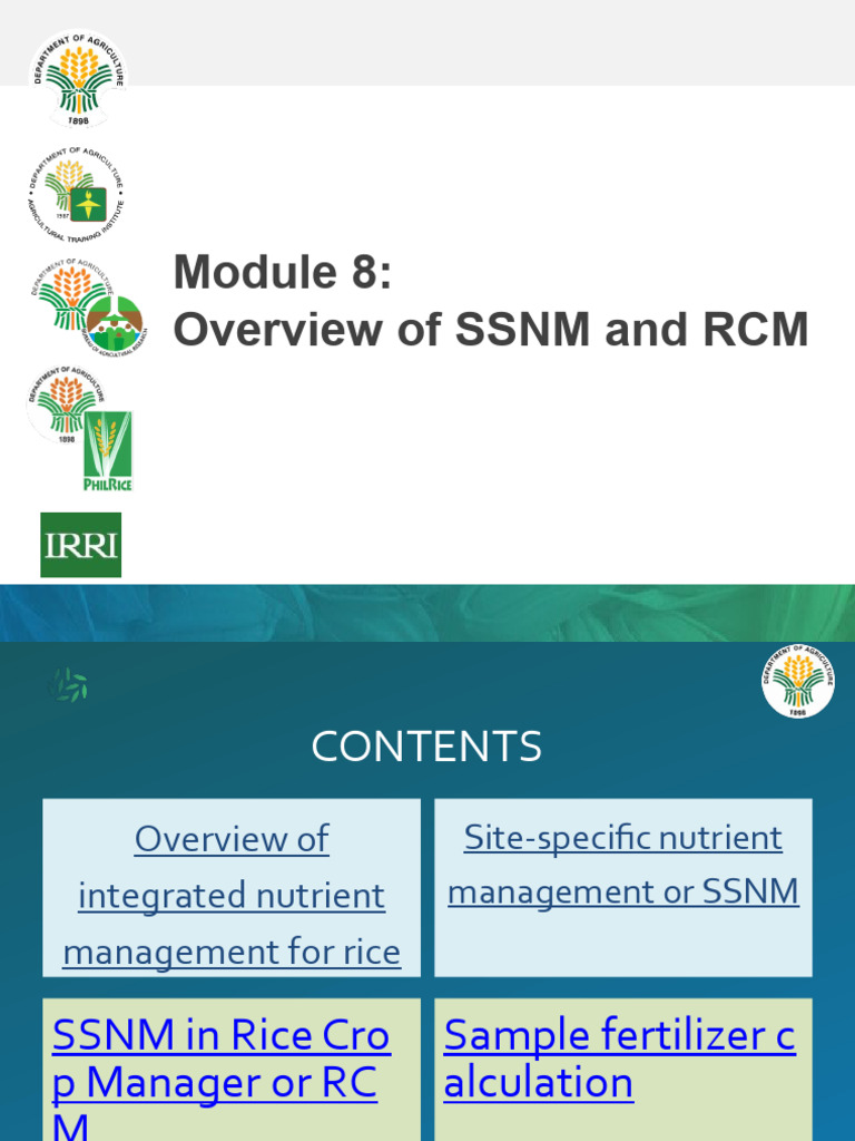 SSNM and RCM in Rice Fertilization | PDF | Fertilizer | Plant Nutrition