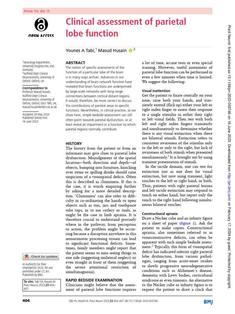 Clinical Assessment of Parietal Lobe Function | PDF | Parietal Lobe | Neuroscience