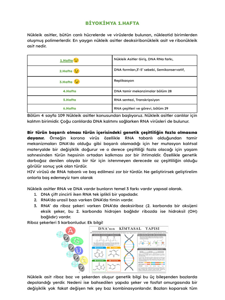 Biyokimya Notlarım | PDF
