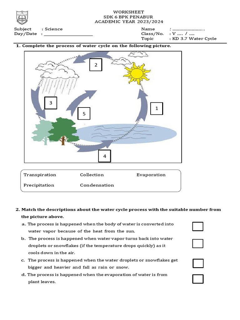 WS 1 Water Cycle | PDF