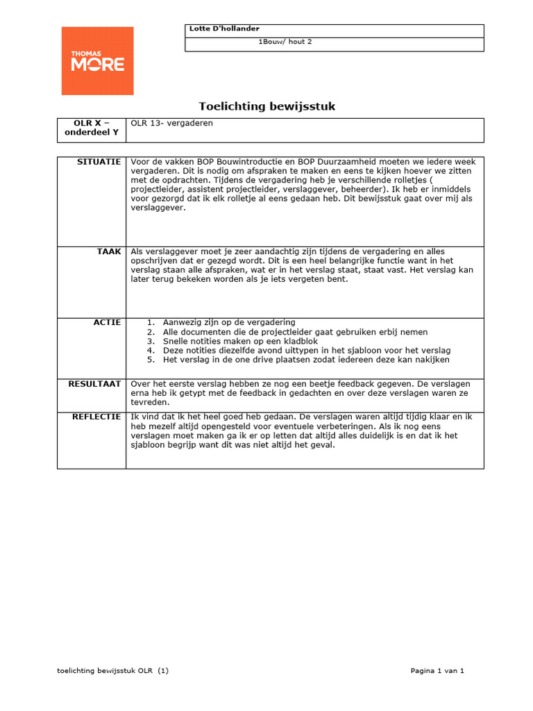 Olr 13 Vergaderen | PDF