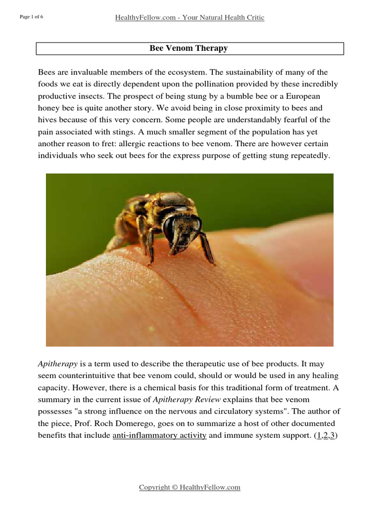 bee-venom-therapy | PDF | Acupuncture | Osteoarthritis