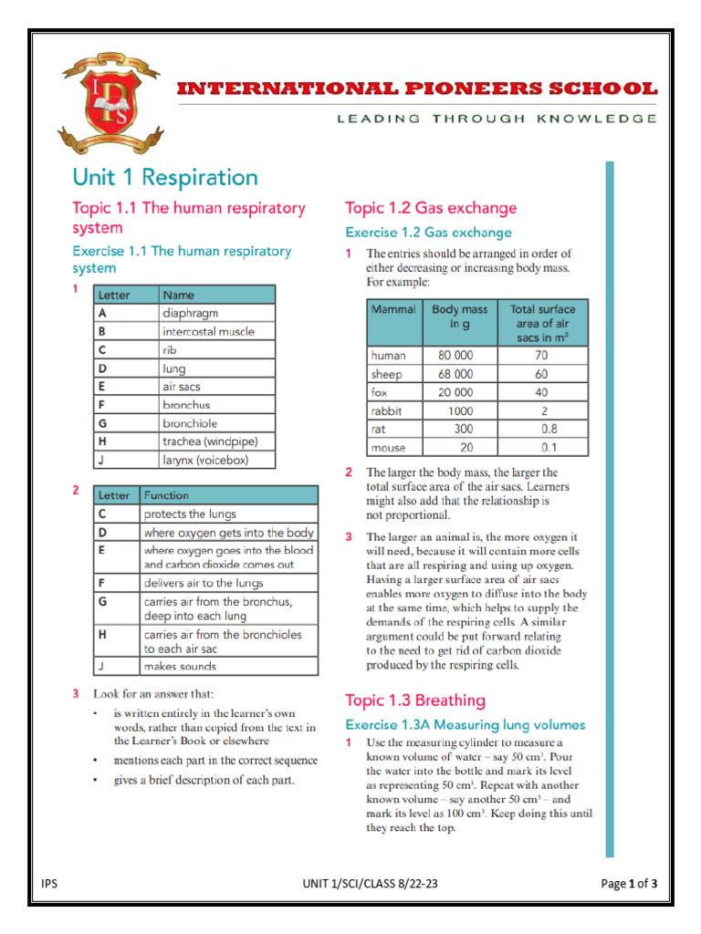 IPS NOTES - Grade 8 Unit 1 Respiration WB Answers - 26042023 - 155429 ...
