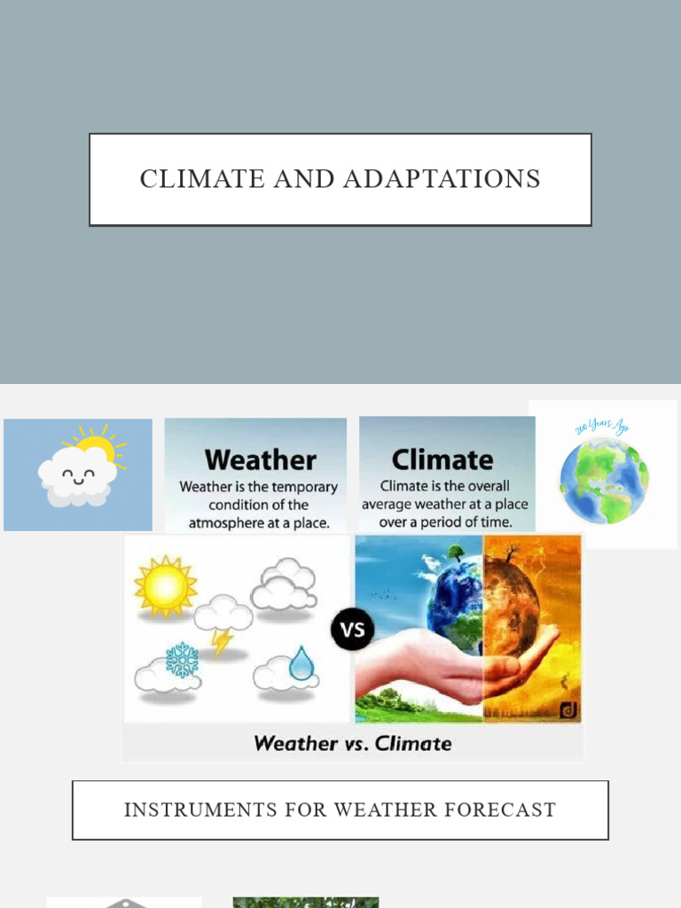 Climate and Adaptation | PDF | Camel | Desert