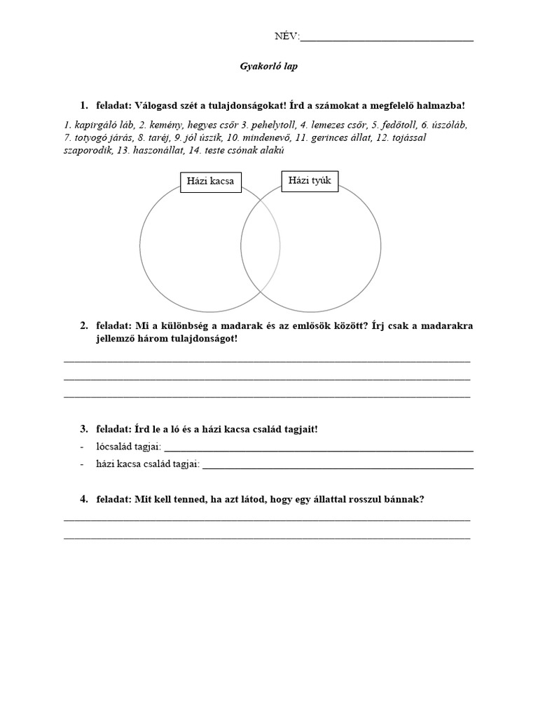 Gyakorló Lap Állatok A Környezetünkben Kétoldalas A4 Es Méret 26 DB | PDF