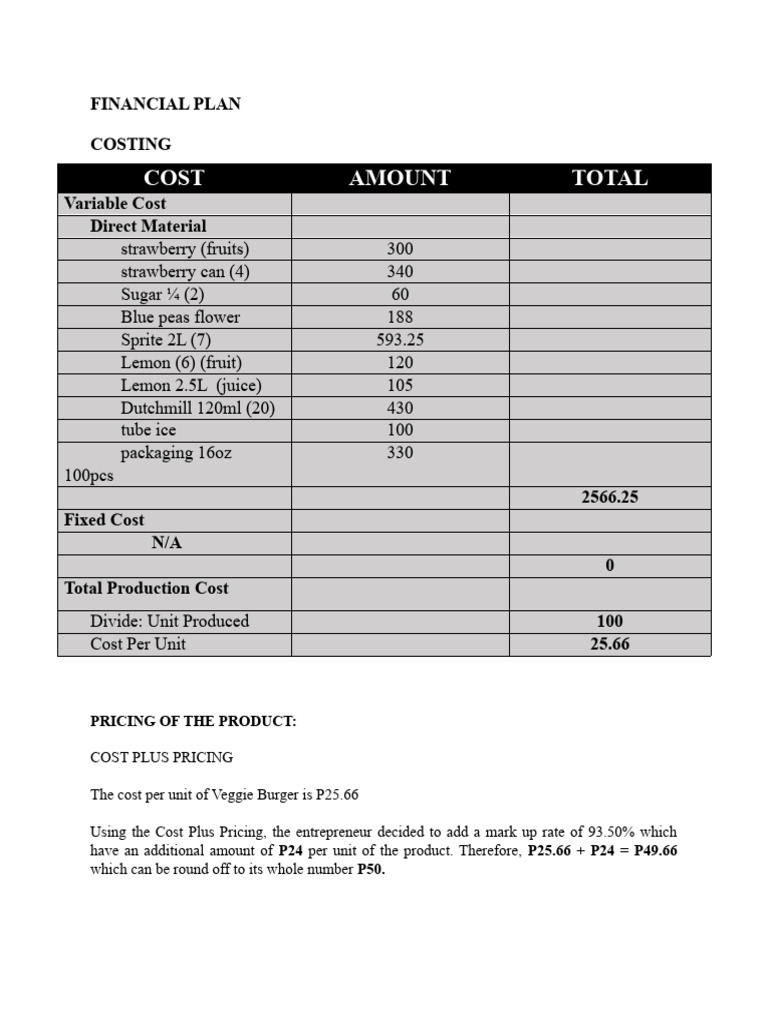 FINANCIAL PLAN - Draft | Download Free PDF | Marketing | Business