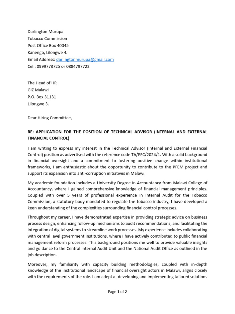 Technical Advisor - Internal and External Financial Control | PDF ...