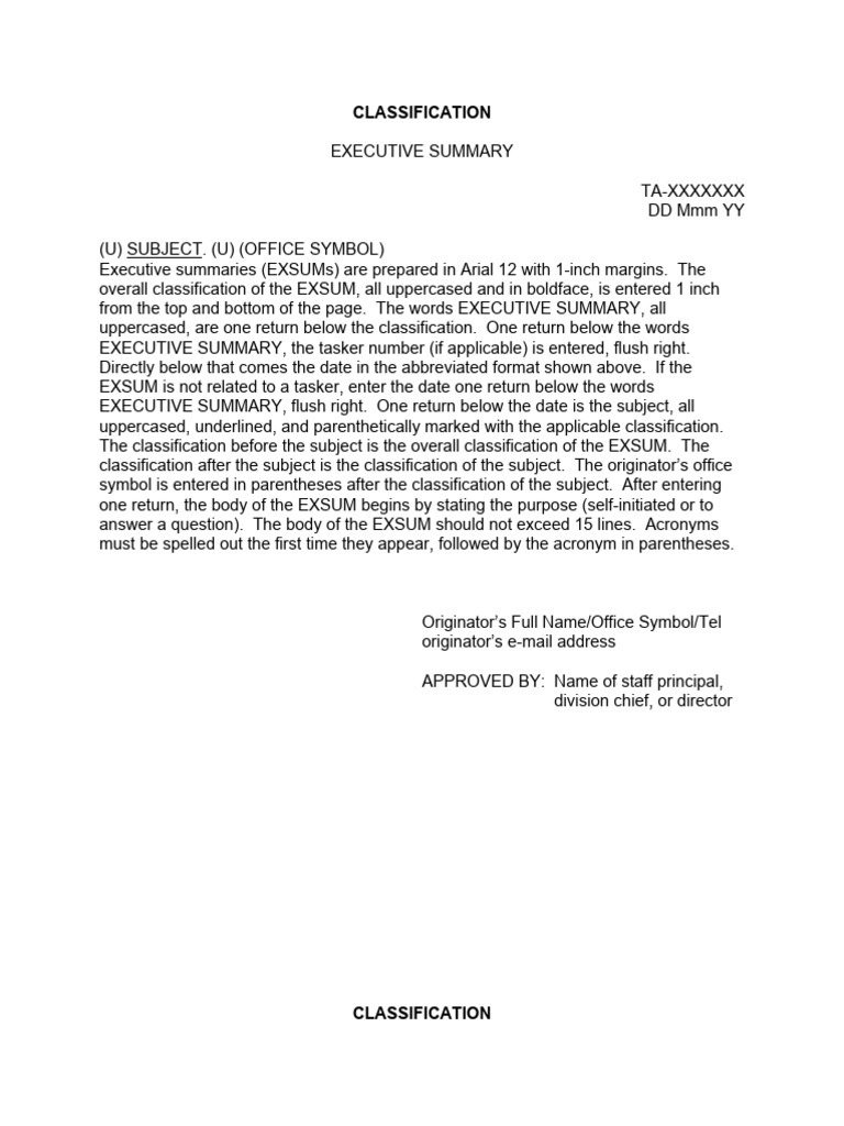 SA-EXSUM Template | PDF